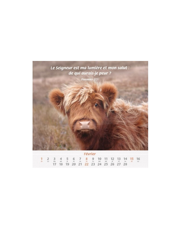 Nos amis les animaux 2026 - Librairie 7 ici